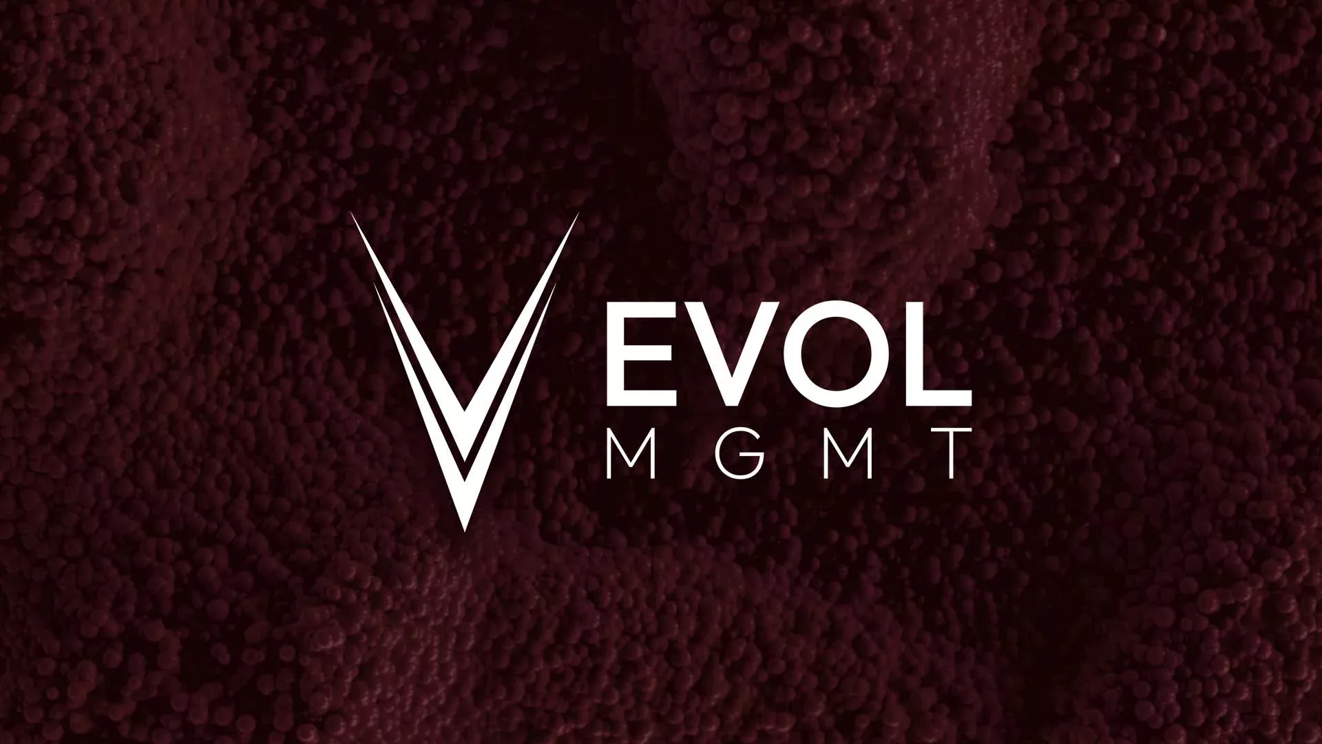 Modelos Archive - EVOL MGMT
