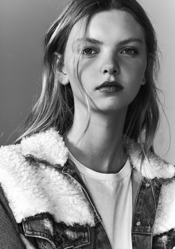 Modelos Archive - EVOL MGMT